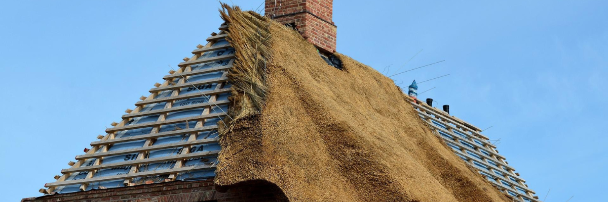 A guide to roof thatching materials