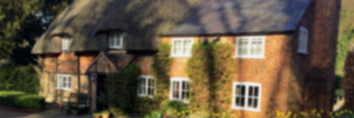 I love my thatched property: John Hambly | One Broker